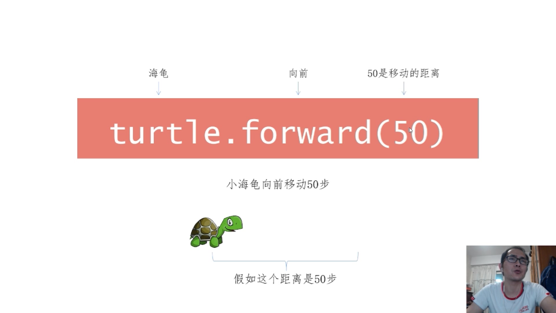 1turtle导入与使用