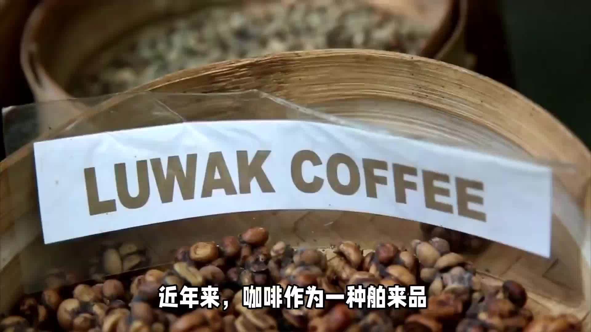 云南咖啡成星巴克标配,国产咖啡豆崛起了?