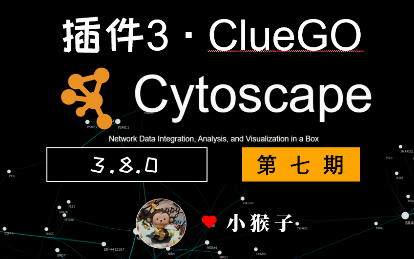 【生信分析-26】Cytoscape插件:ClueGO+CluePedia使用