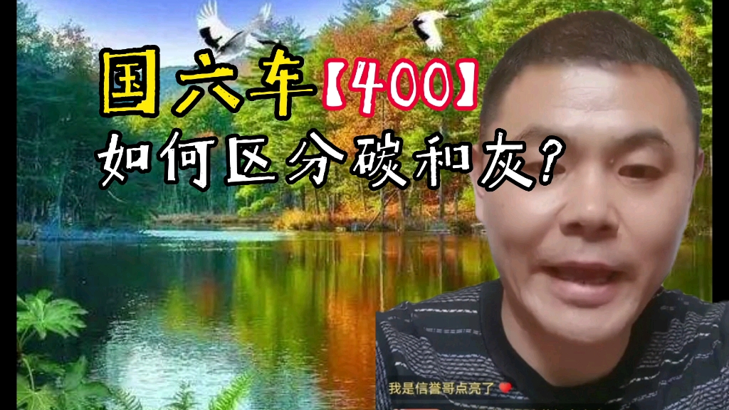 400是否区分碳颗粒和灰分?