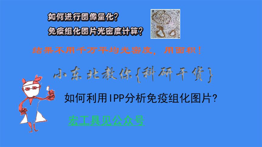 【科研干货】如何利用IPP量化免疫组化图-阳性区域面积-上