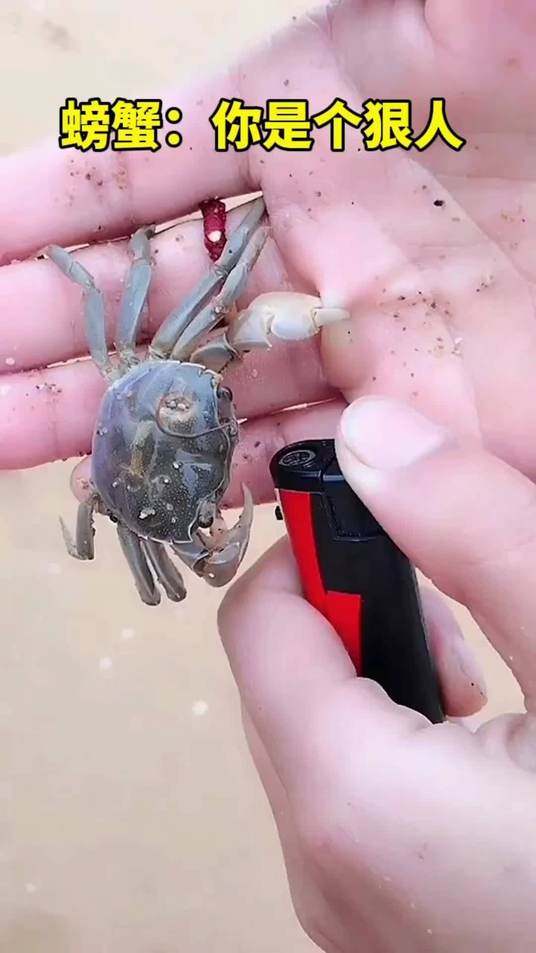补丁是干啥用的?