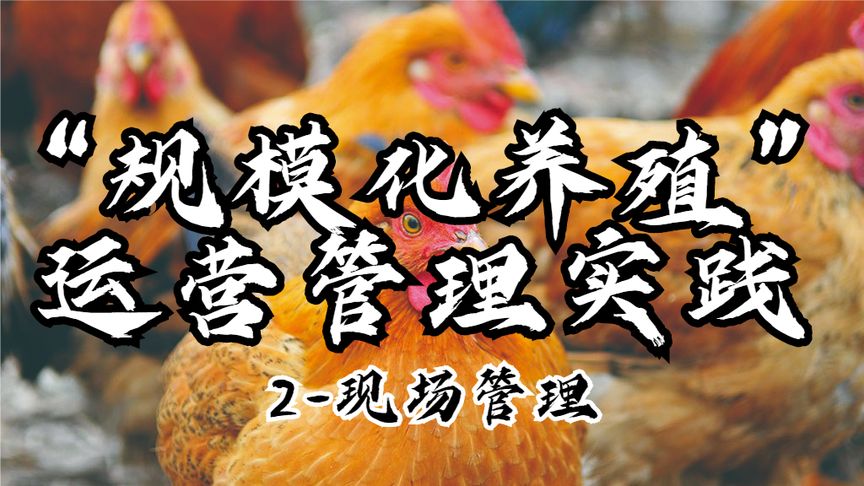 规模化养殖场需要什么样的管理