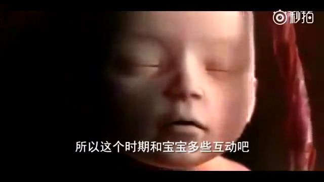 胎儿从形成到出生全过程,生命的奇迹妙不可言!