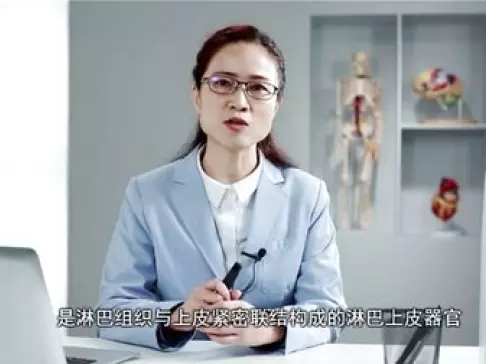 《人体系统解剖学》第3章、消化系统2、咽和食管