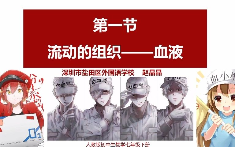 人教版 七年级下册《流动的组织-血液》微课