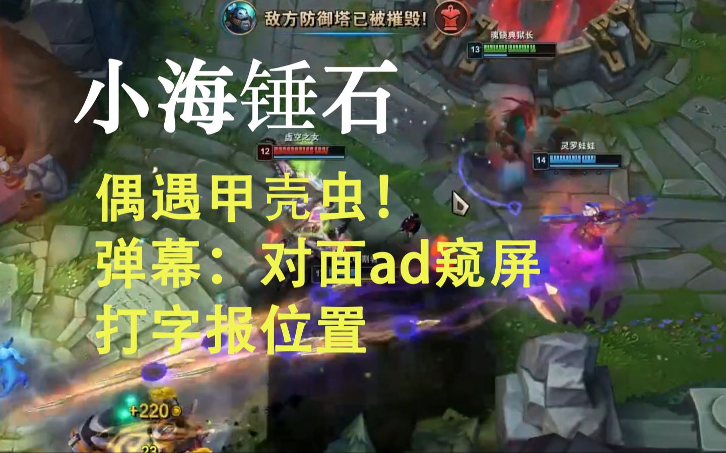 【小海锤石】偶遇没有剑圣的甲壳虫!弹幕大神:对面ad窥屏打字报位置!