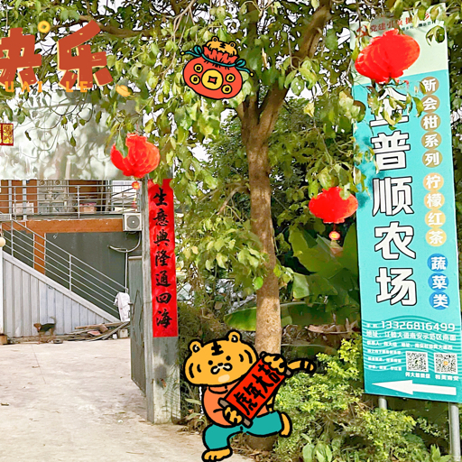 金普顺生态农场 