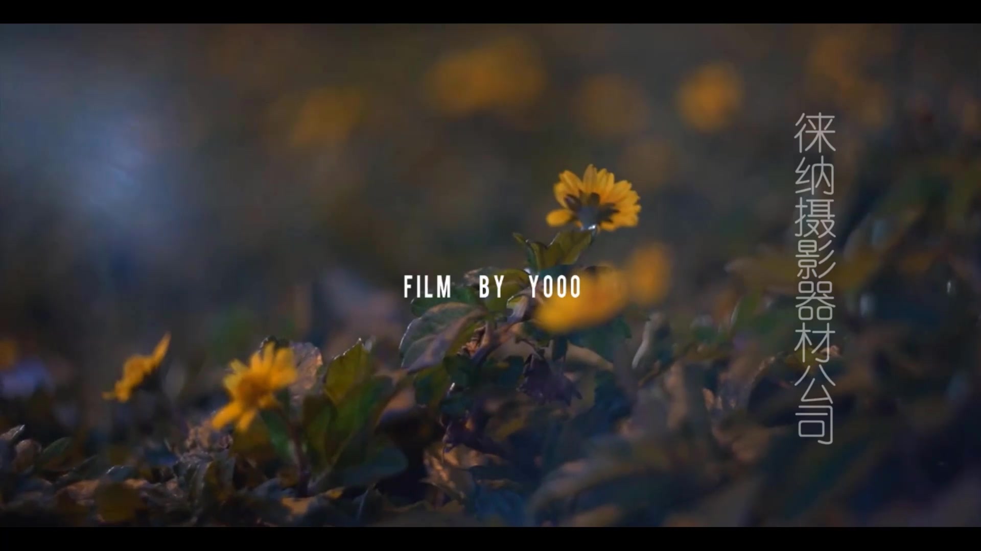 HELIOS 44-2、 俄罗斯八羽怪 旋焦镜头 转接 摄影教程 索尼 佳能 ...