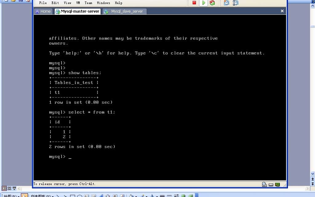 第十二集 MySQL bin-log日志和主从复制