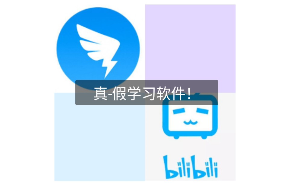 去钉钉,学习堵上网课了! 网友:不,我要在b站真正的学习!