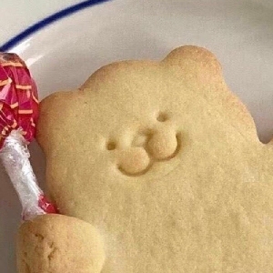 每天嗷呜的煎妮 