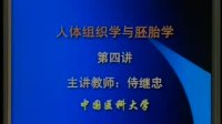 中国医科大学 组胚04 上皮组织2