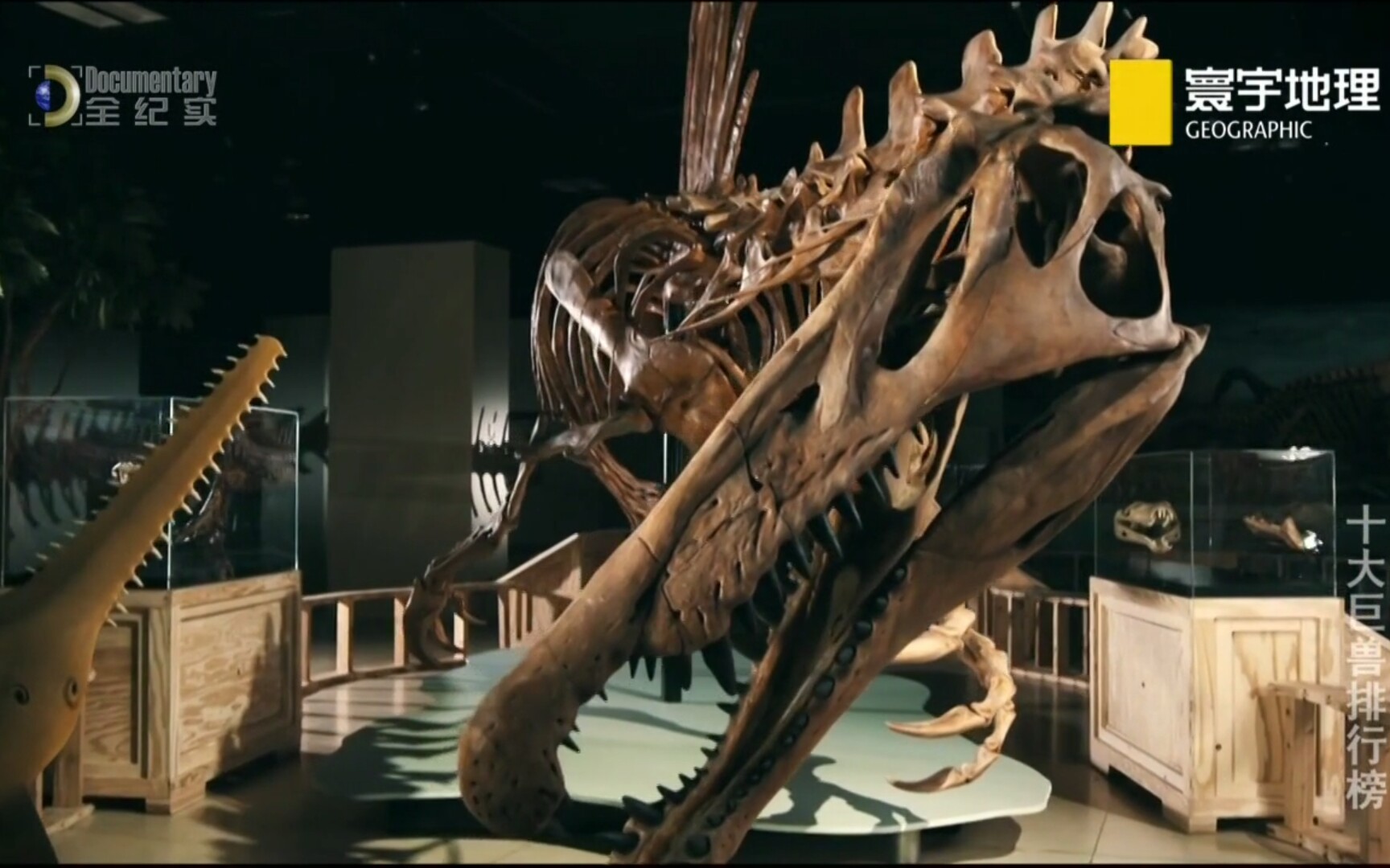 【纪录片】十大巨兽排行榜