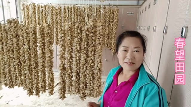 东北笨烧酒坊,用雄蚕蛾泡酒,刚出生的蚕蛾怎样才能辨别出雌雄
