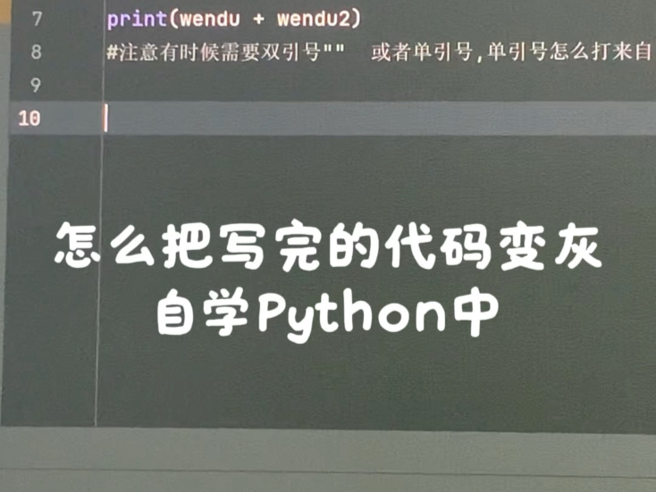 Python怎么把代码全变灰色