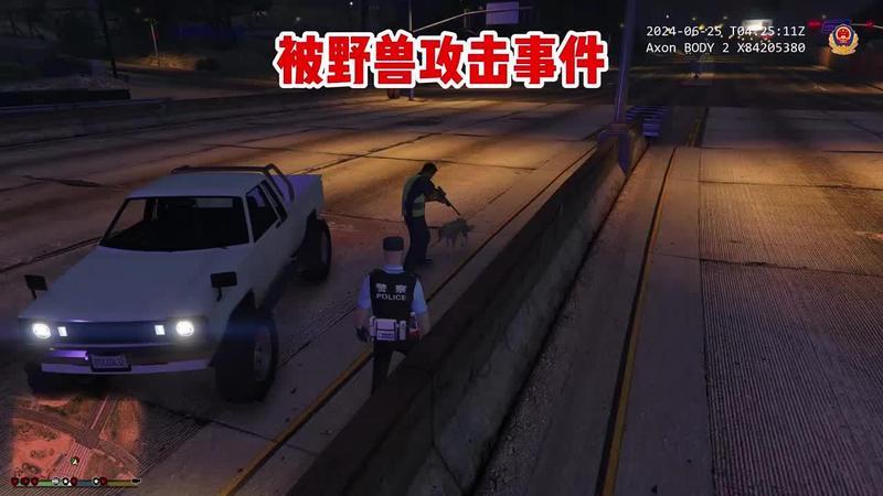 警察模拟器 steam游戏 r星 电脑游戏