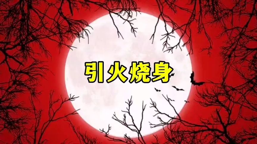 引火烧身,大案记实案件,真实案件真实故事讲解,