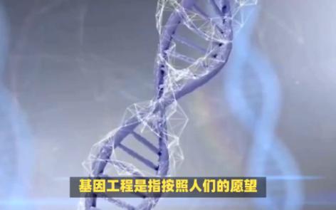 重组DNA技术的基本工具(上)-知识点