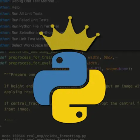 Python大厂精英 