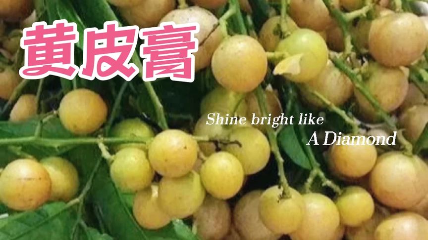 黄皮膏是有生津止渴、润喉去燥的功效的,食用能使人清爽舒适。