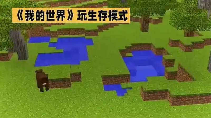 《我的世界》玩生存模式