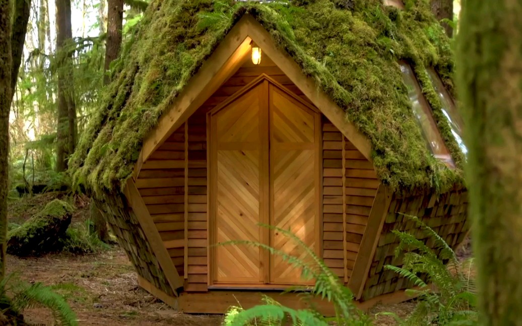 在森林建个小木屋,住下吧