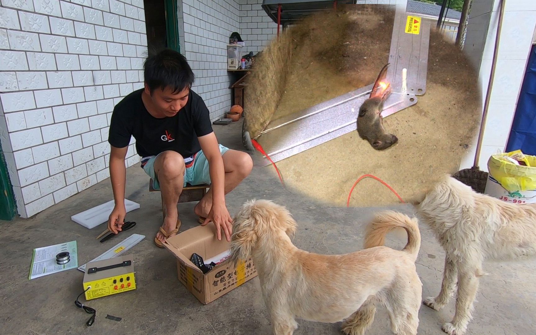 小伙开箱试用电子捕鼠器,科学捕鼠真是厉害,老鼠直接一击毙命