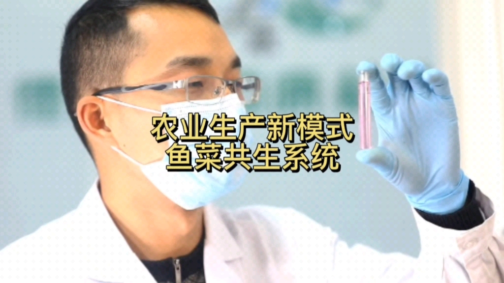 农业创新模式工厂化鱼菜共生系统到底是什么?融合了高密度循环水...