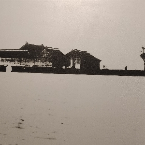 密橙 