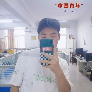 凉上之军 
