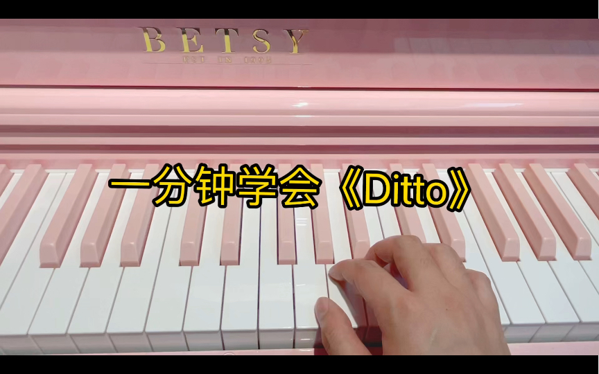 一分钟学会《ditto》!