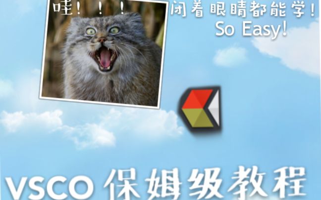 【VSCO】【教程】包教包会的保姆级VSCO入门级教程