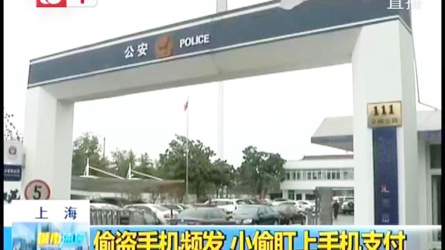 男子用偷盗手机刷支付宝被抓 警方提醒设置好免密支付限额