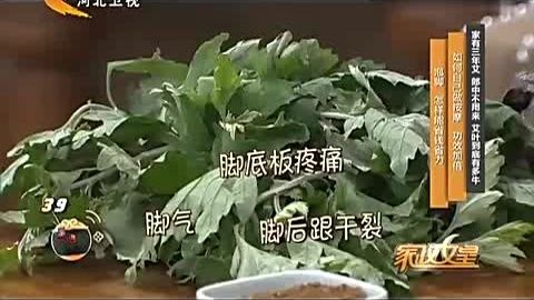 养生保健,祛脚气丨正确使用艾叶泡脚,可以使功效加倍