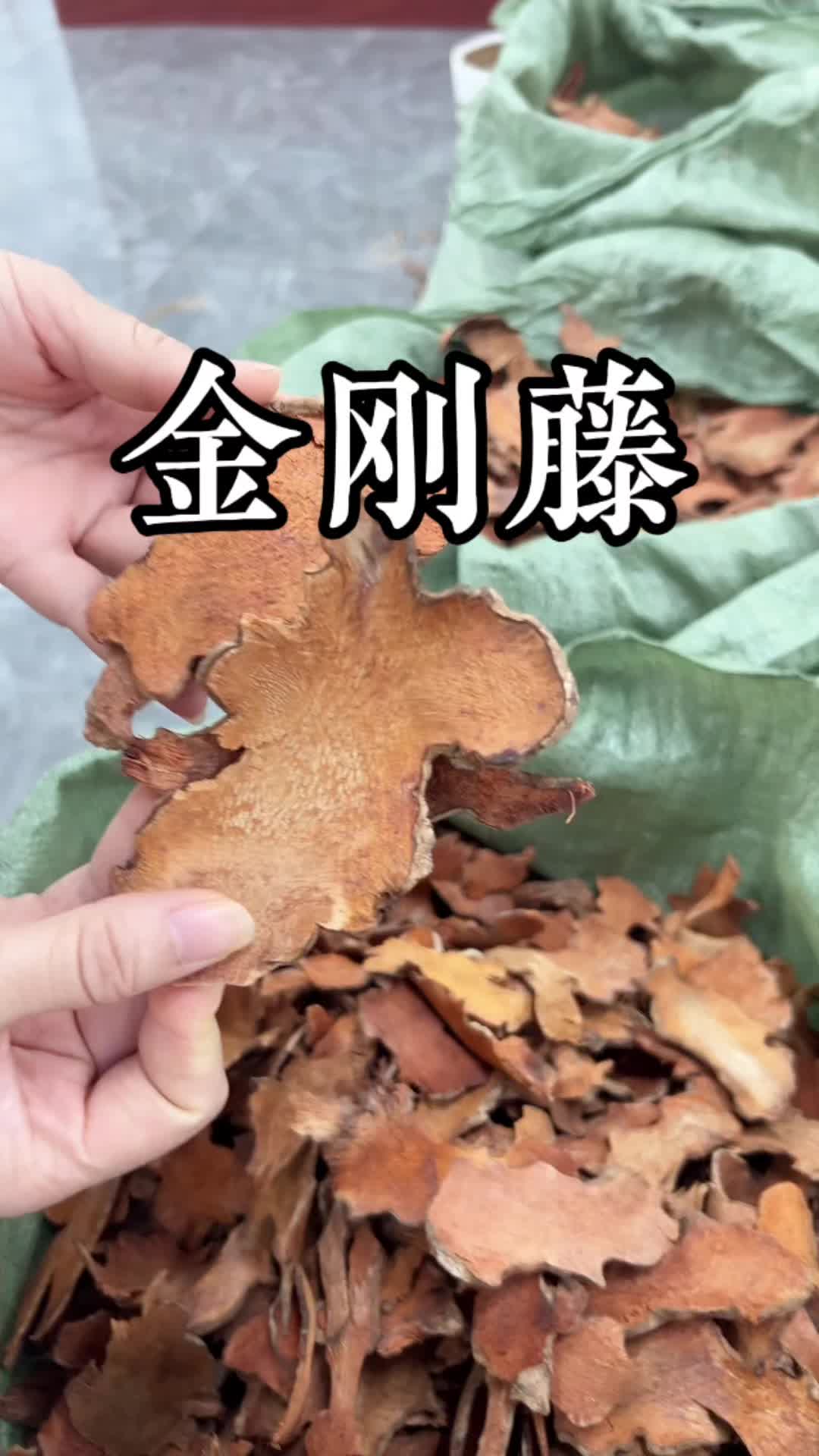 宝,金刚藤你们那里有么?#金刚藤#山货#抖音新农人