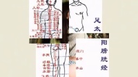 经络穴位(承扶穴)