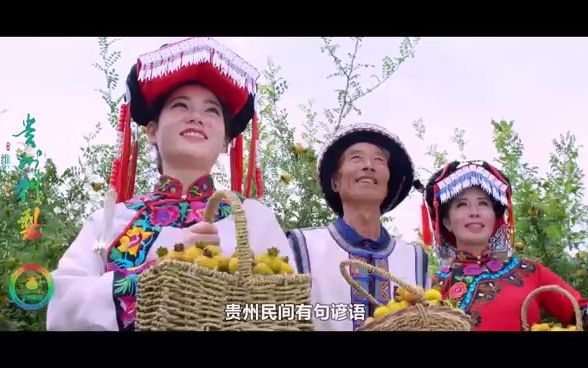 贵州刺梨 维C之王 健康生活 你我共享!