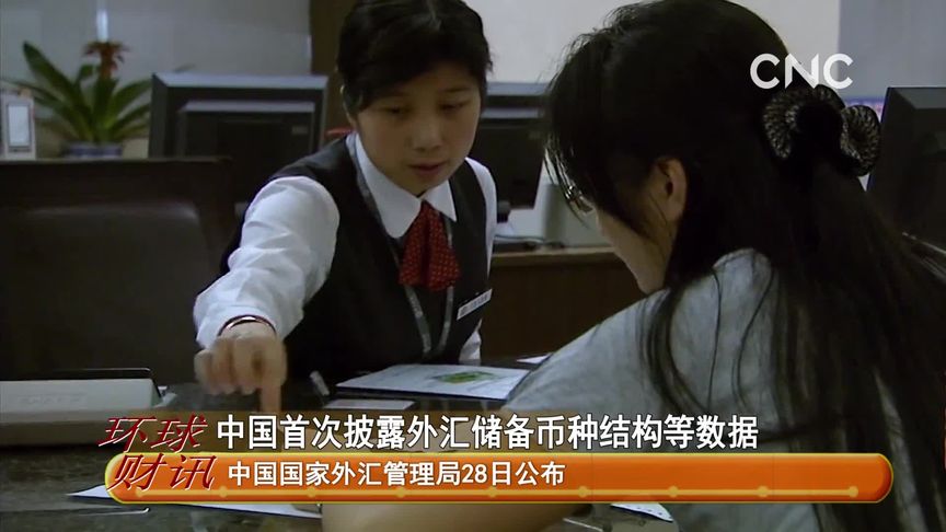 中国首次披露外汇储备币种结构等数据