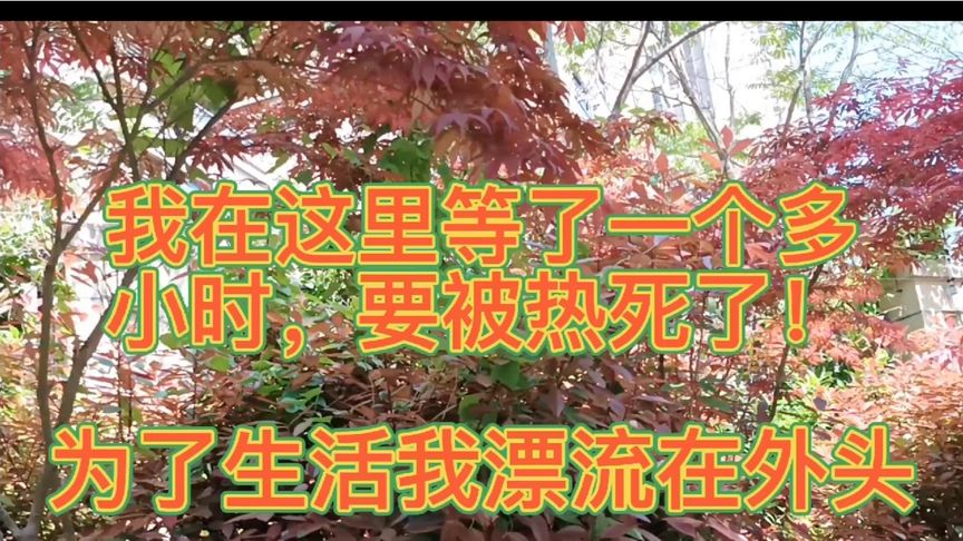 因有气管炎和哮喘,一直不敢打疫苗,现在是不打不许接小孩!