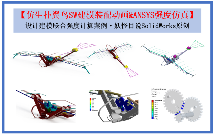 仿生扑翼鸟SolidWorks建模装配动画&ANSYS强度仿真