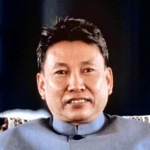 只想守护您 
