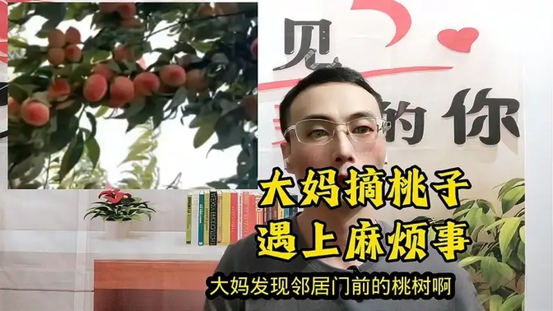 大妈摘桃子遇上麻烦事