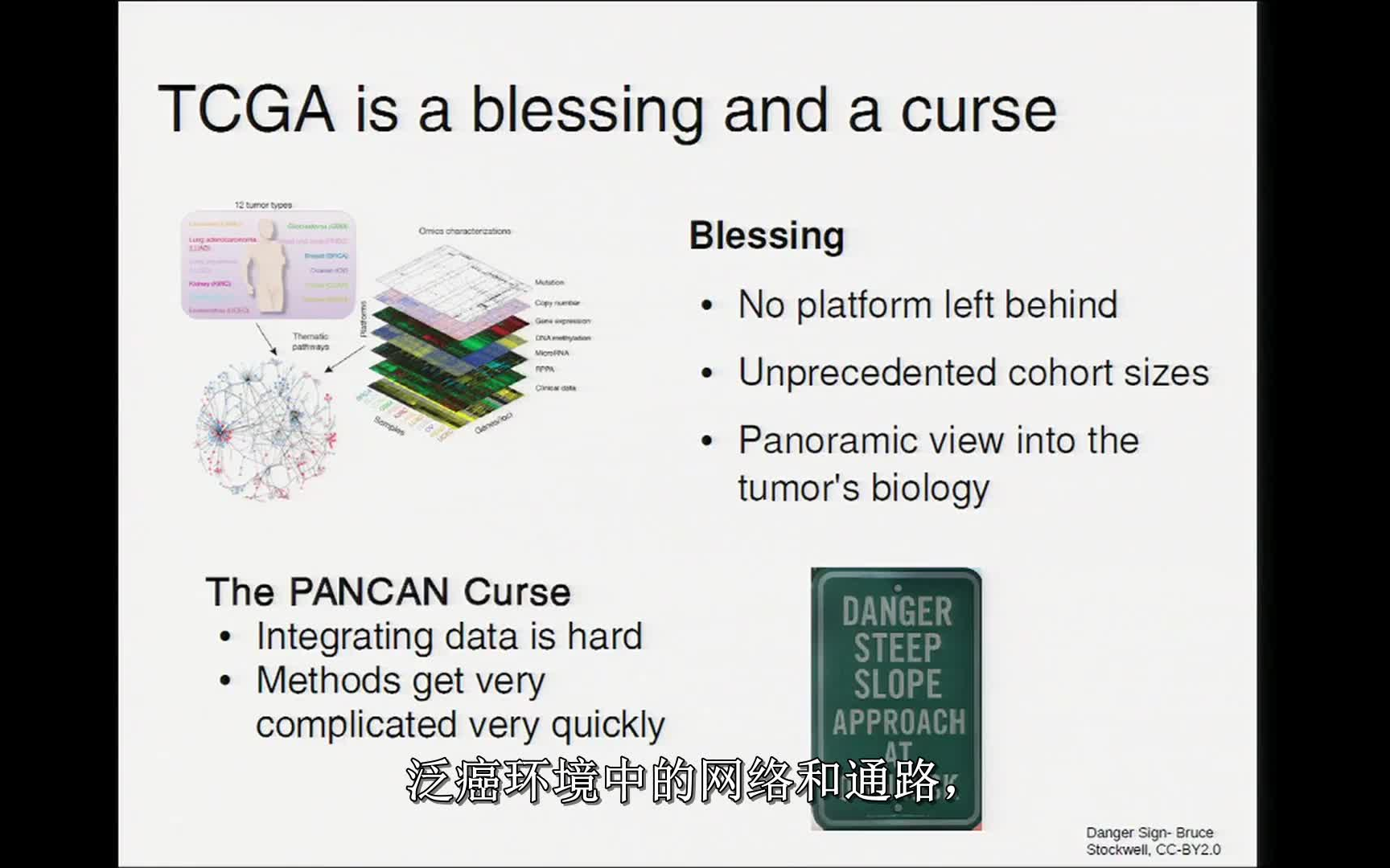 TCGA配对的肿瘤和正常样本分子表型分析