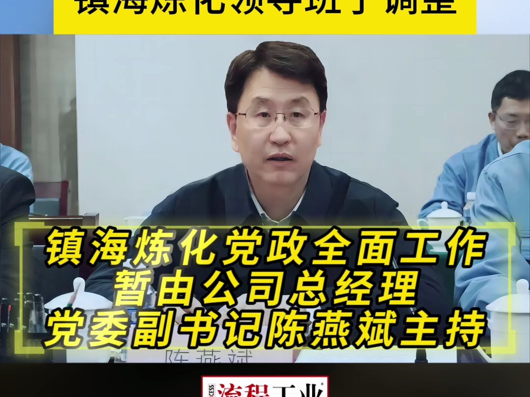 ...炼化和中石化宁波镇海炼化有限公司领导职务,镇海炼化党政全面工作...