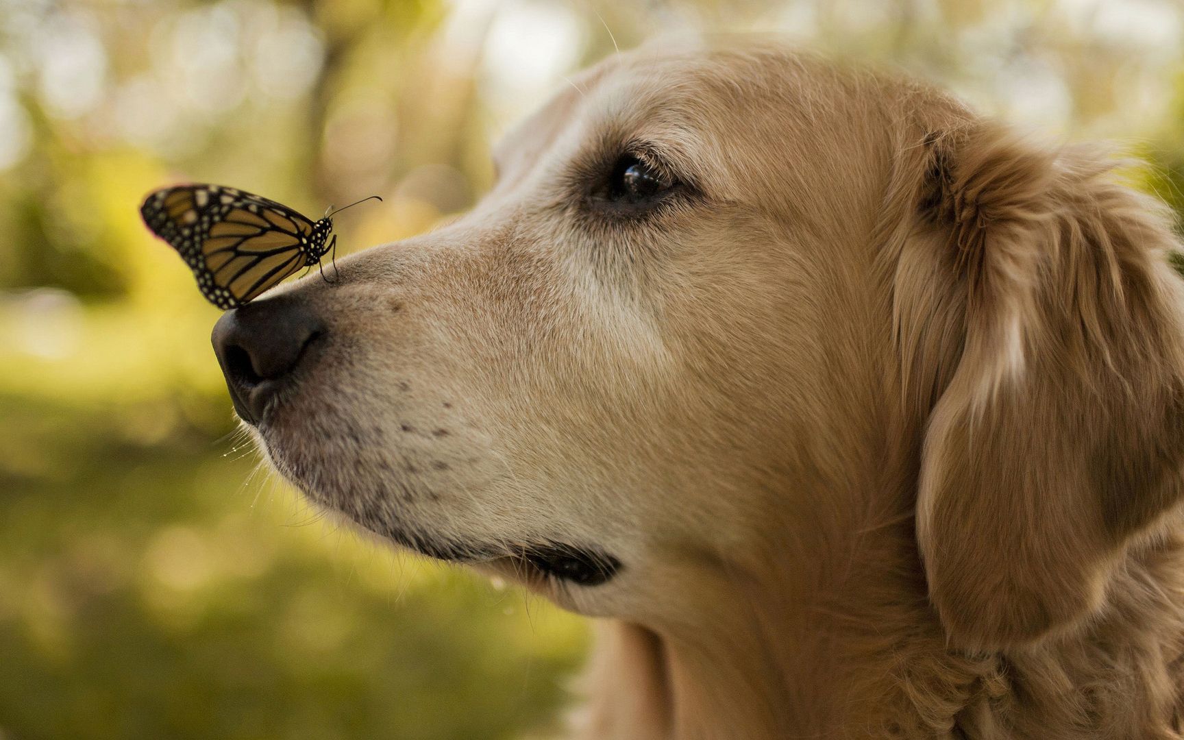 压缩算法 -- 腾讯研发岗笔试题