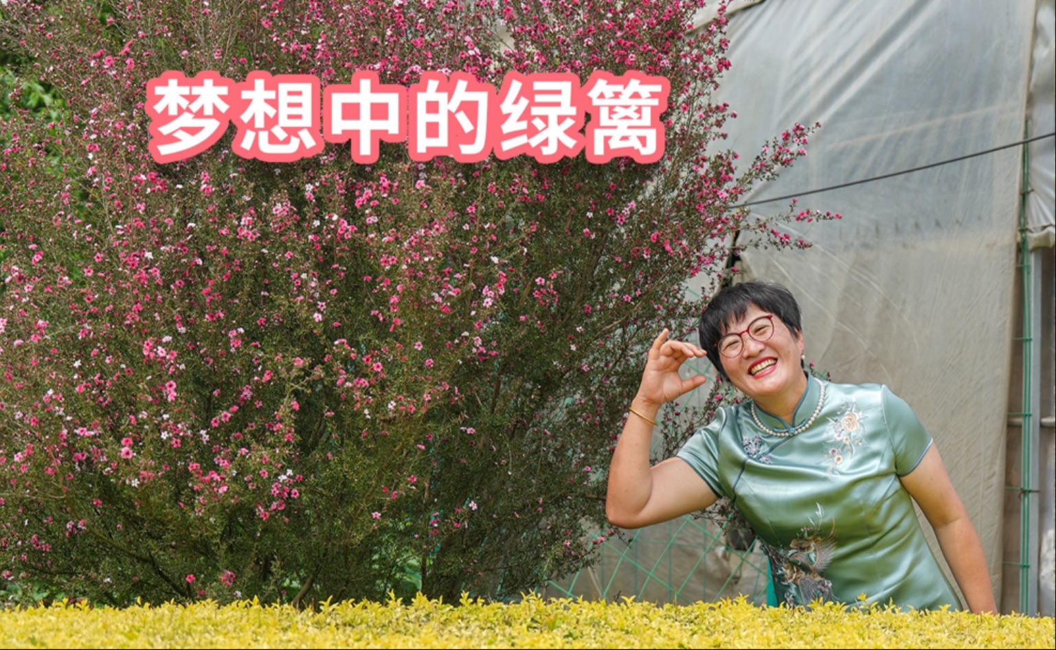 找到梦想中的绿篱,全年常绿开花还仙气