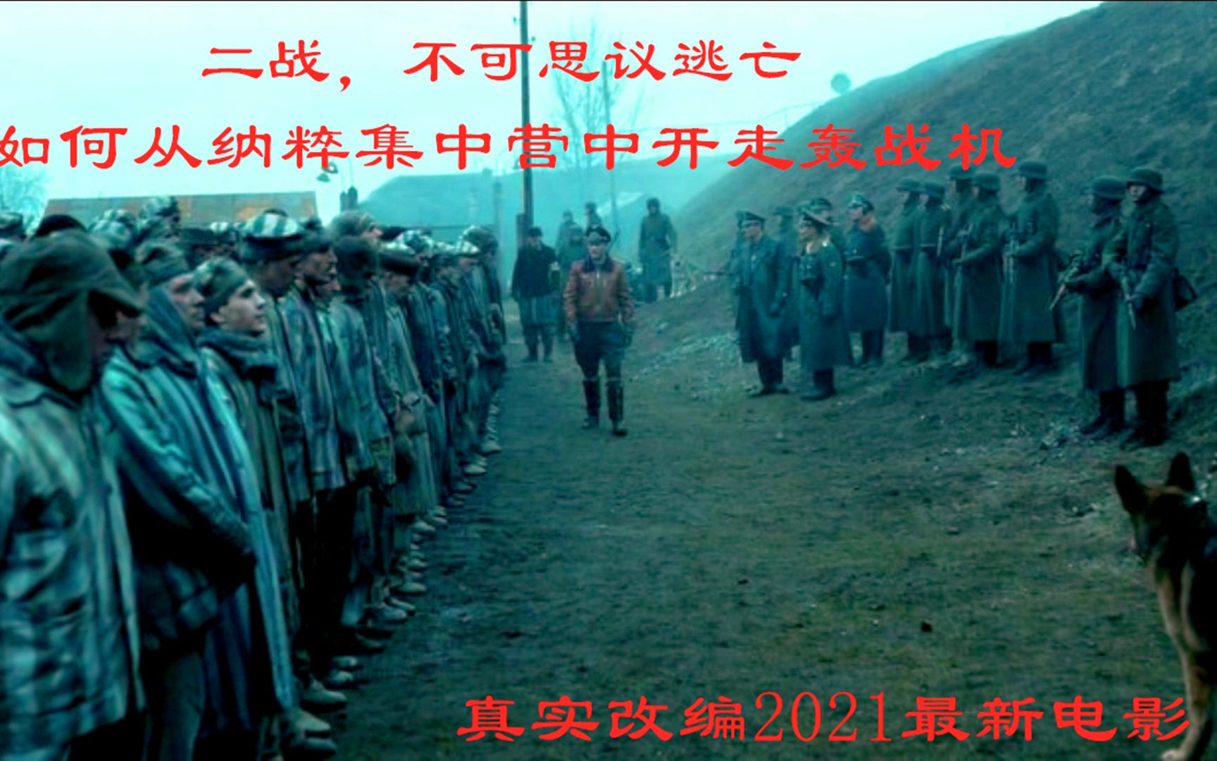 15分钟看完2021最新二战电影《德维塔耶夫》,如何从纳粹手中逃走