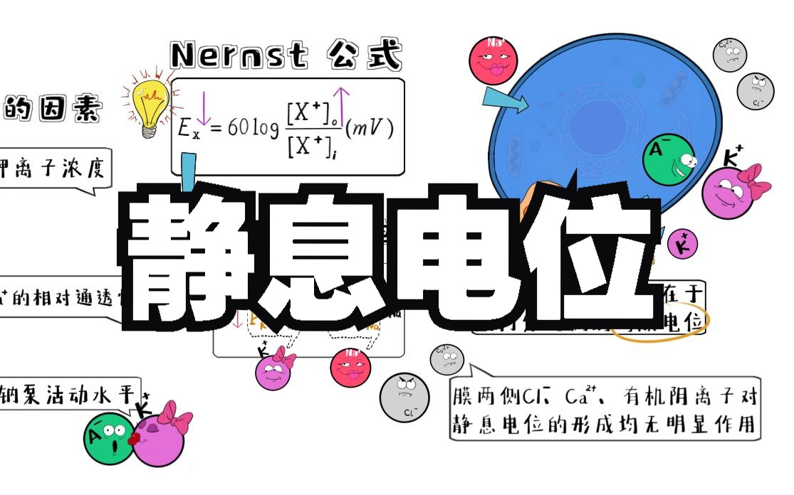 医学带背 10分钟掌握 生理学 静息电位