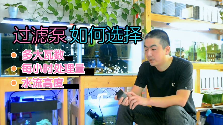 选择困难症,鱼缸过滤泵潜水泵如何购买?新手不知道就看这标注值